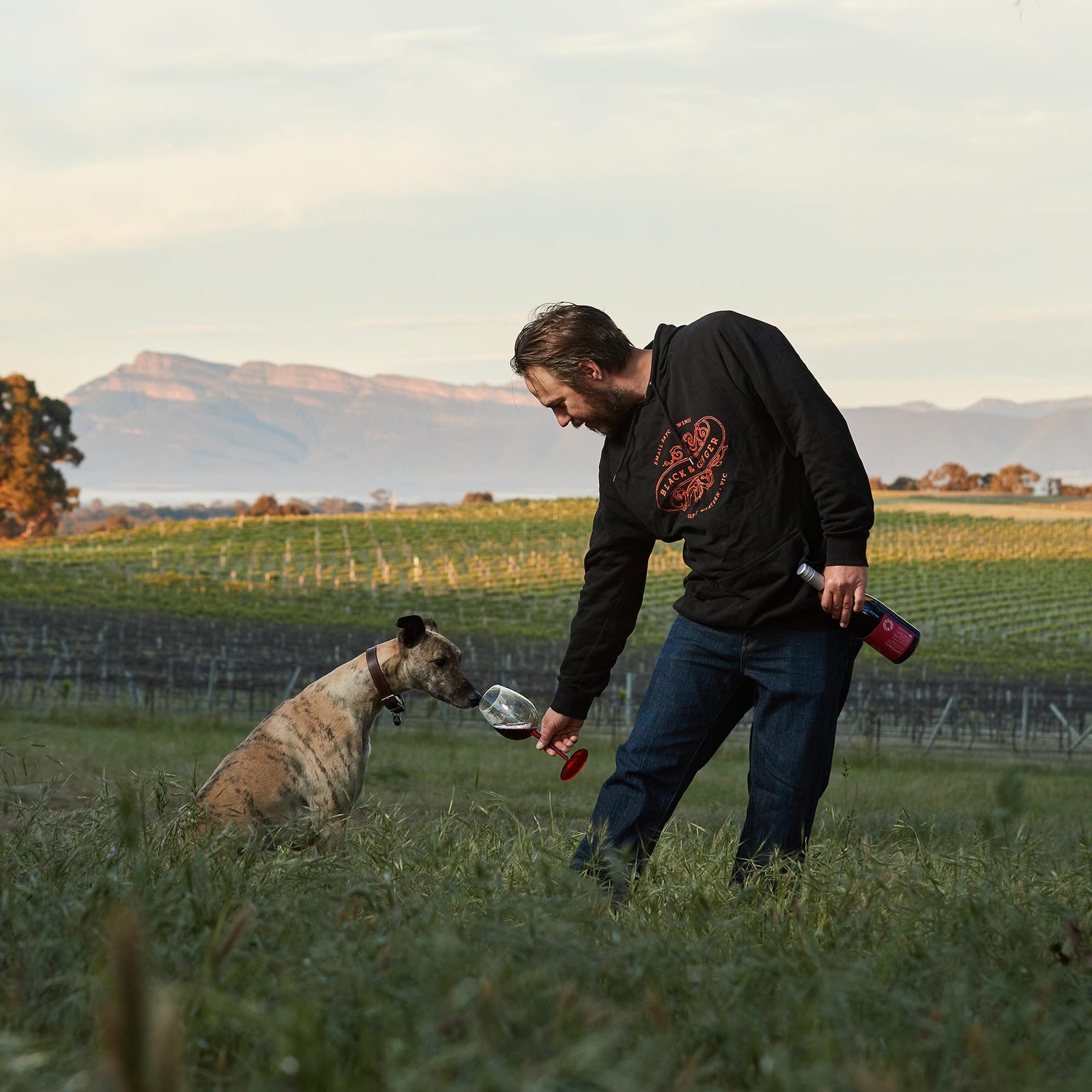 Hadyn speaking with 3BA Radio – Black and Ginger